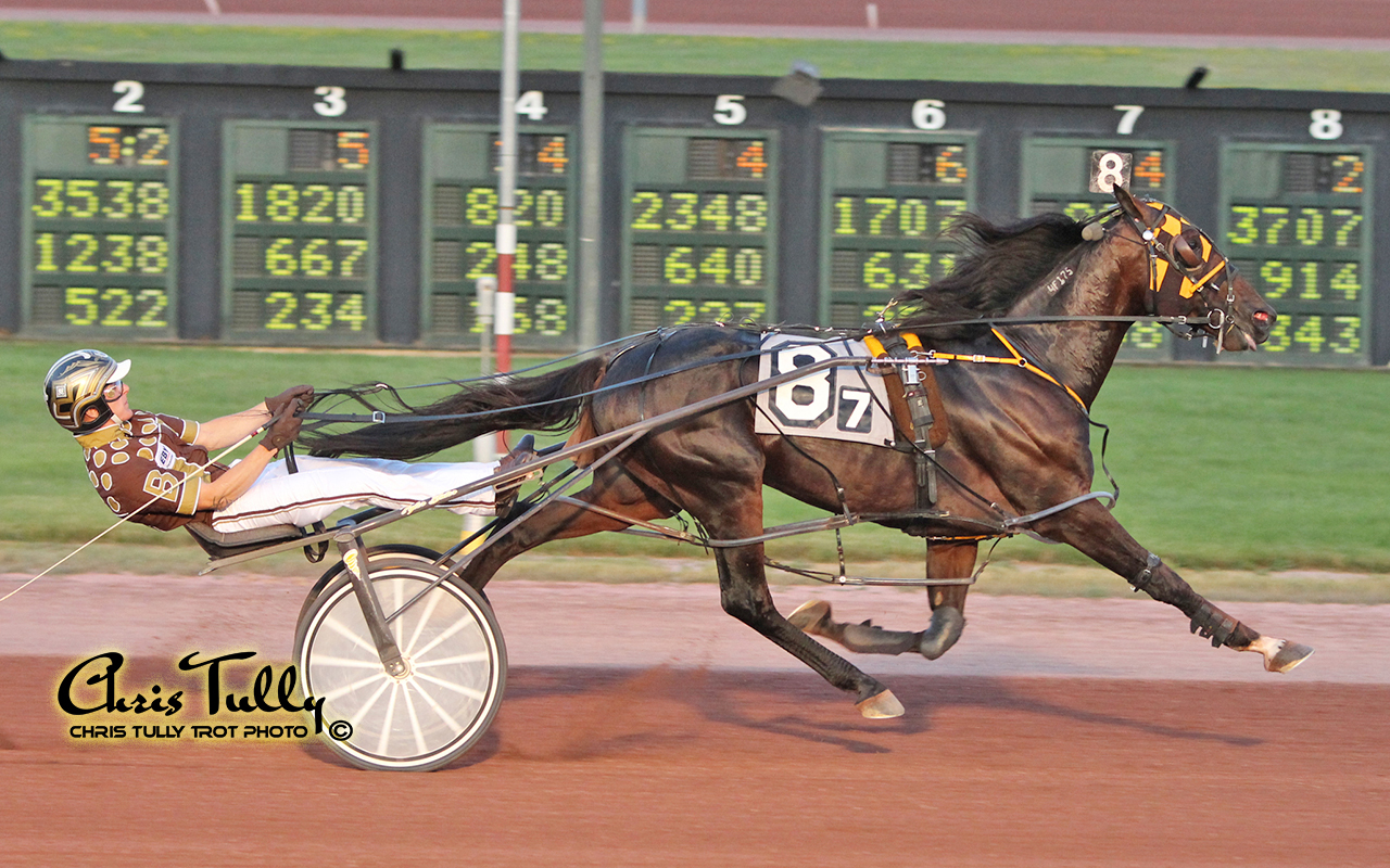 Ohio Harness Horse Breeders – Breeding the Best in the Buckeye State