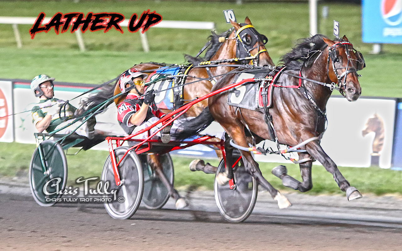 Ohio Harness Horse Breeders – Breeding the Best in the Buckeye State