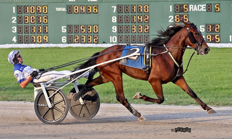 Ohio Harness Horse Breeders – Breeding the Best in the Buckeye State