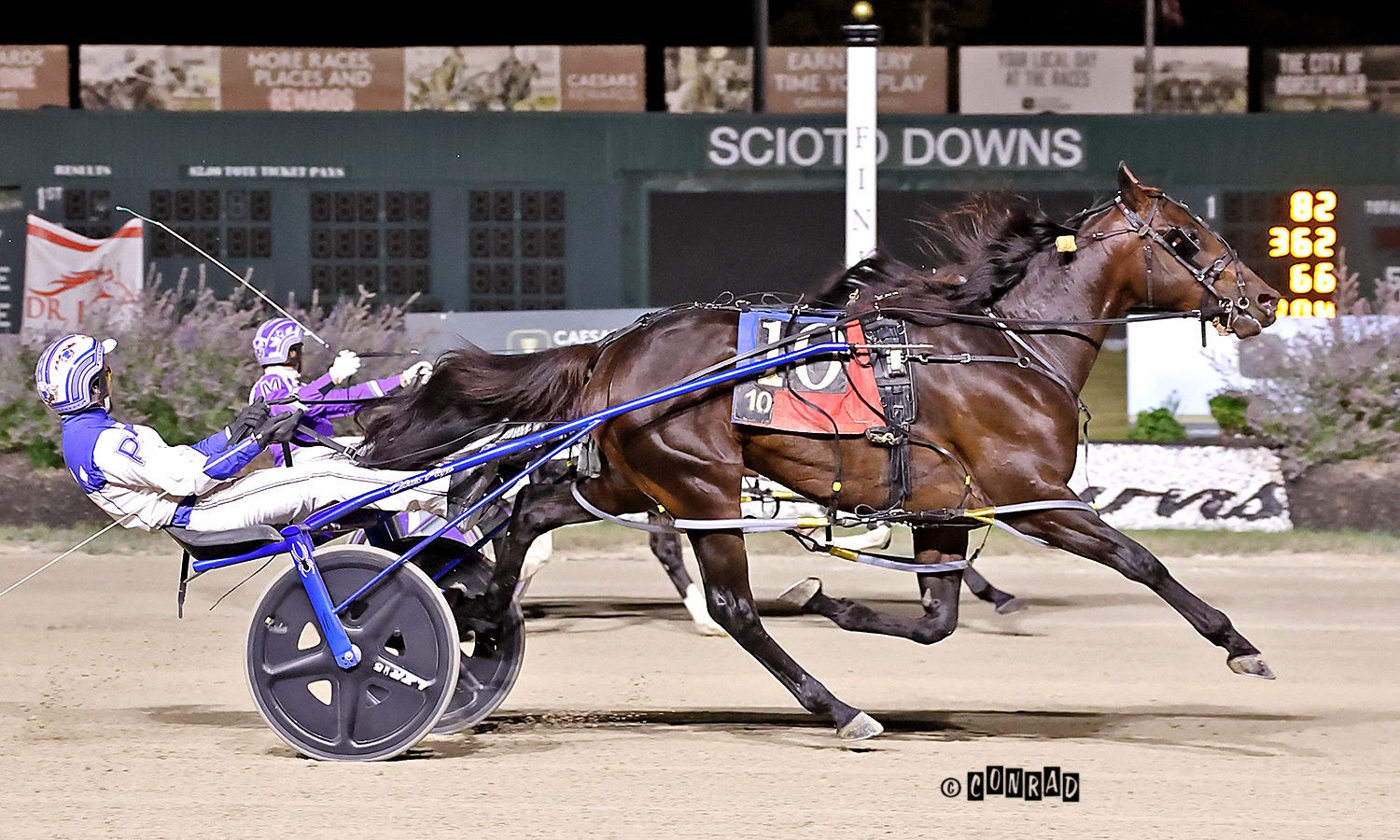Ohio Harness Horse Breeders – Breeding the Best in the Buckeye State